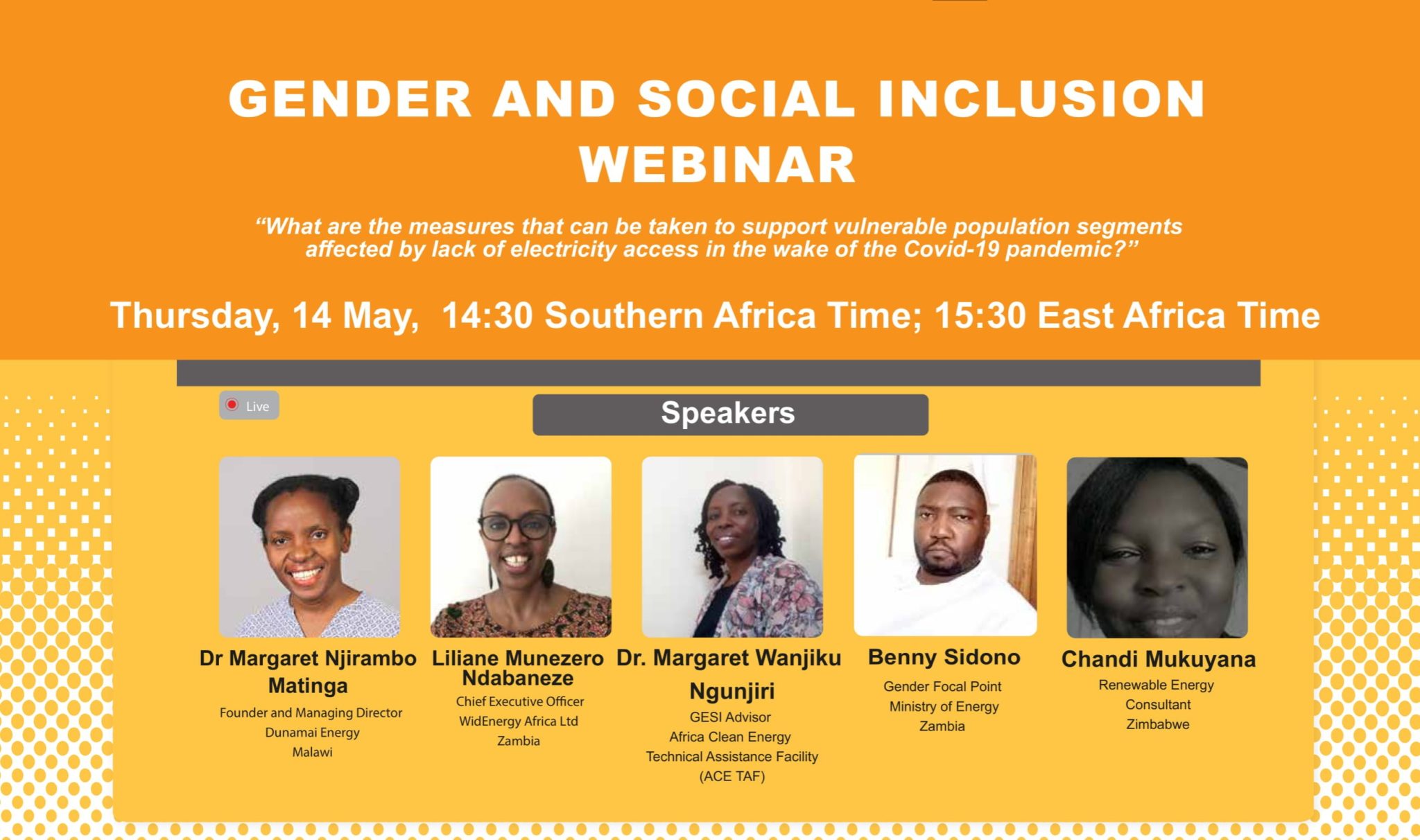 Gender and Social Inclusion (GESI) Webinar: Southern Africa – AFRICA ...